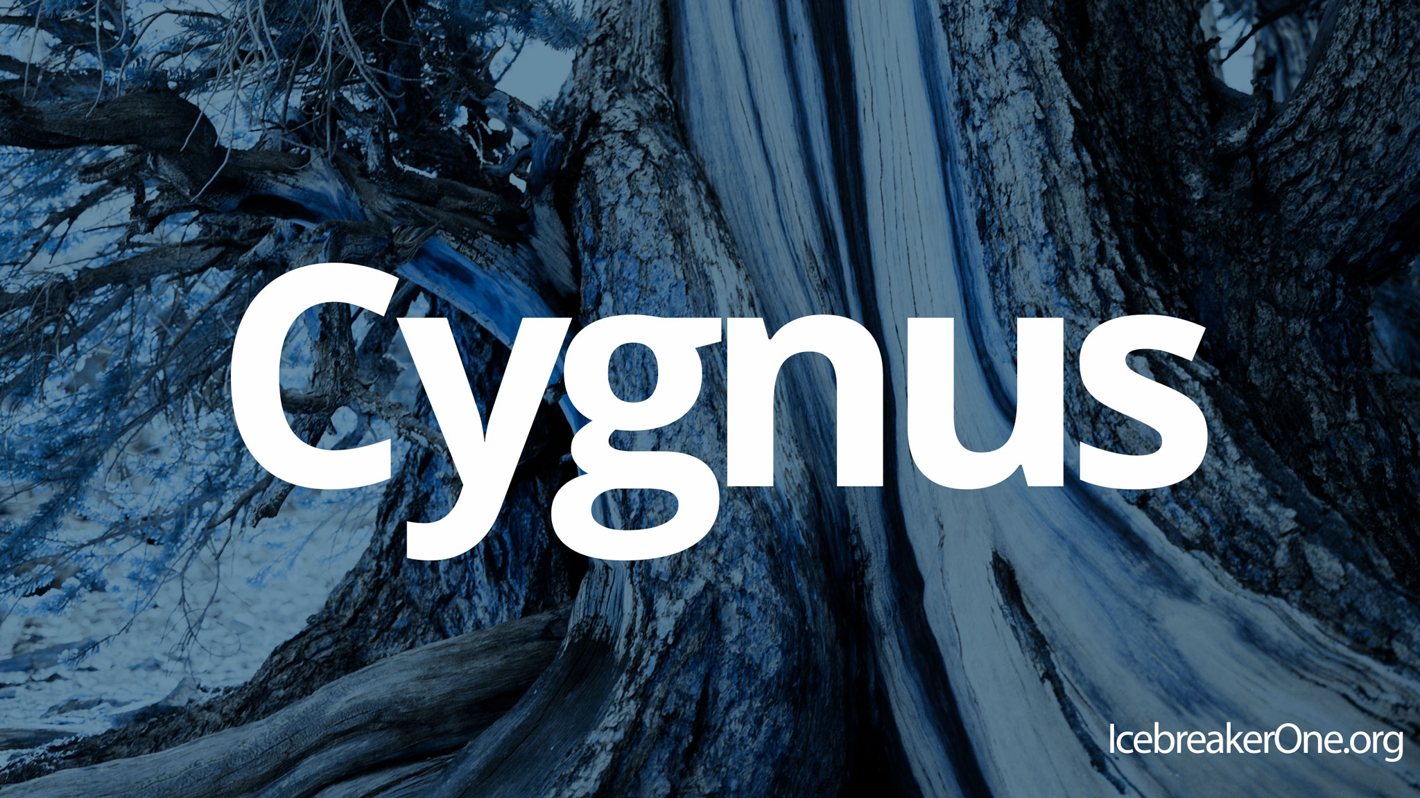 Two members of the Project Cygnus team appointed Members of the ...