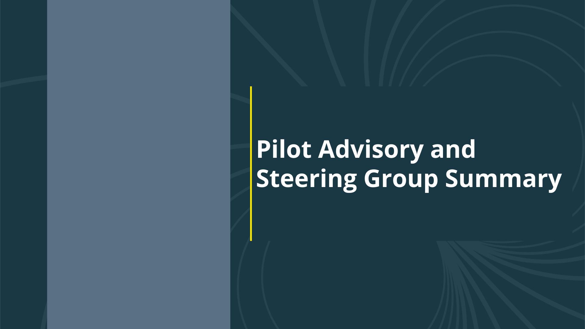 Pilot Advisory and Steering Groups – a summary from the December ...
