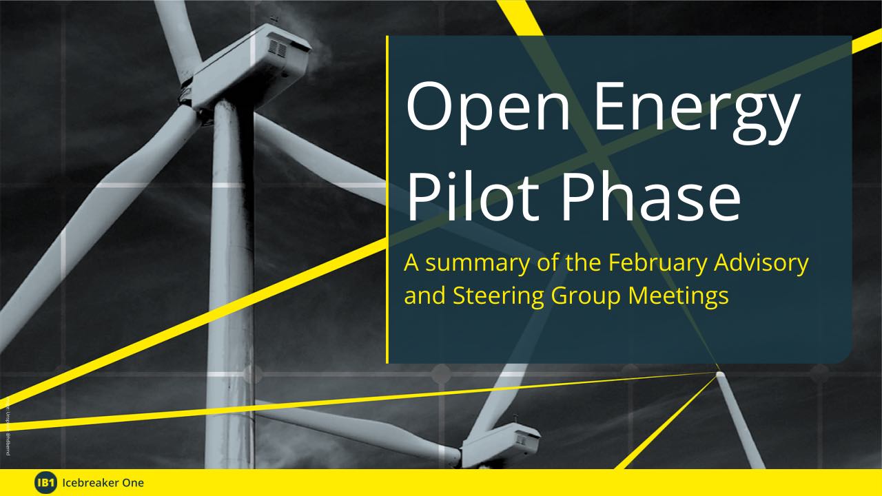 Pilot Advisory and Steering Groups – a summary from the February ...