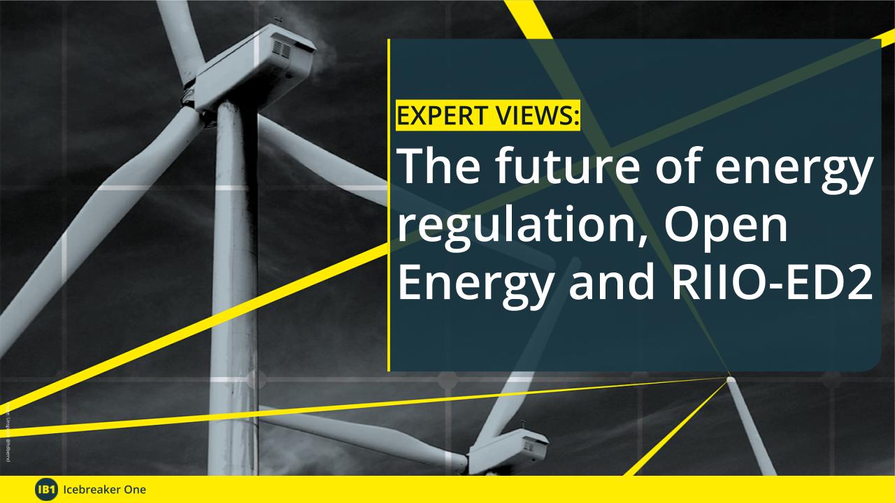 Expert views: the future of energy regulation, Open Energy and RIIO-ED2 ...