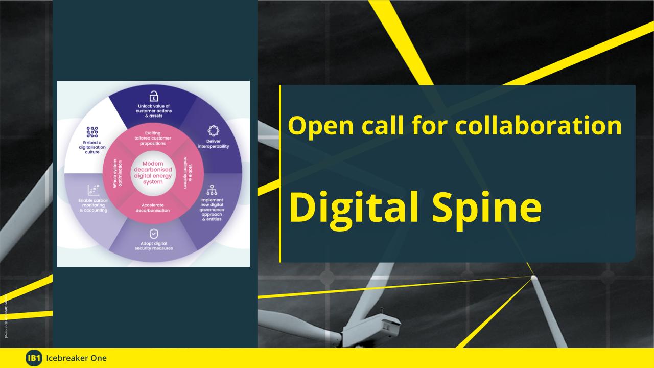 Open call for collaboration — Digital Spine feasibility study ...